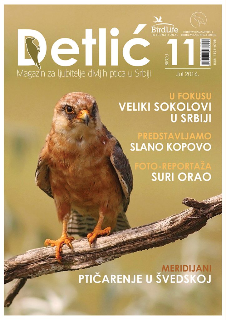 Časopis Detlić br. 11