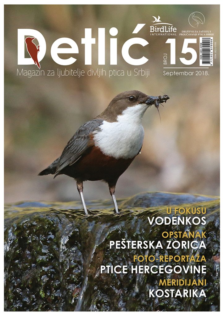 Časopis Detlić br. 15