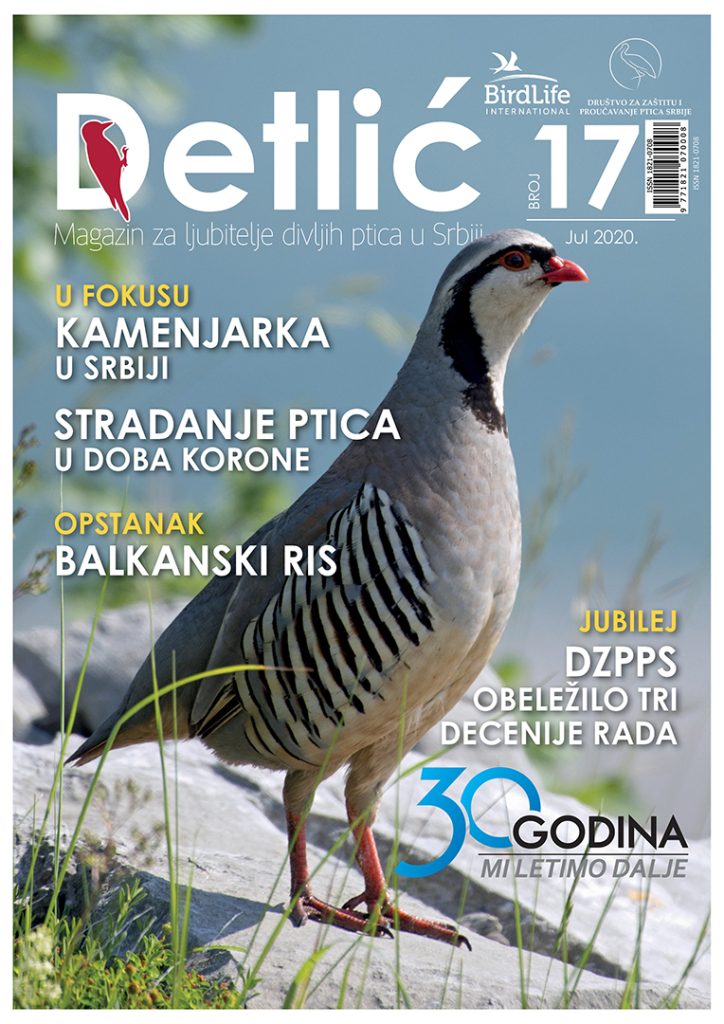Časopis Detlić br. 17