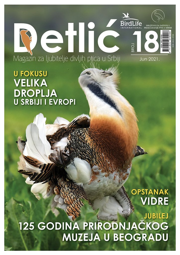 Časopis Detlić br. 18