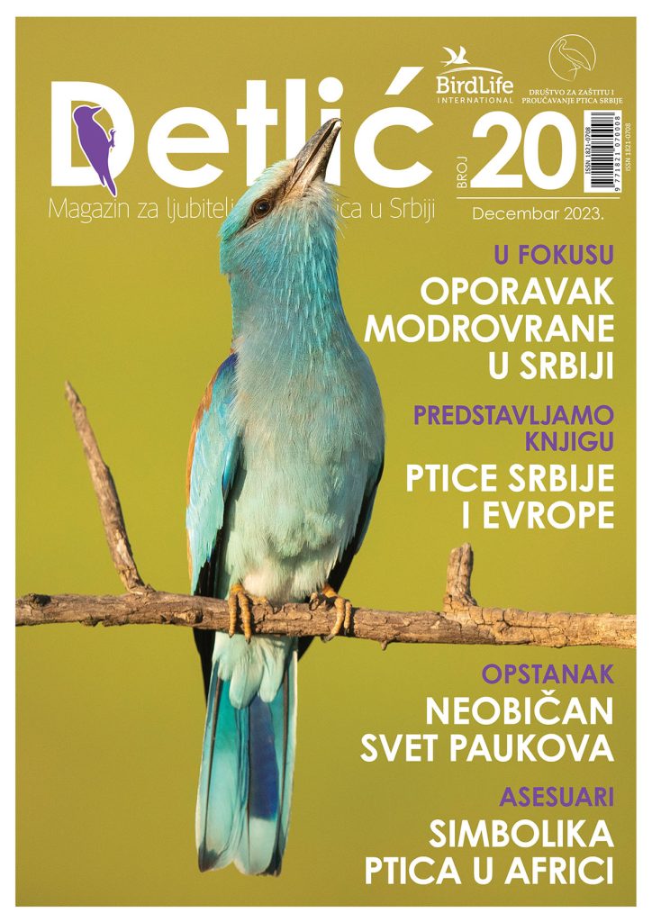 Časopis Detlić br. 20